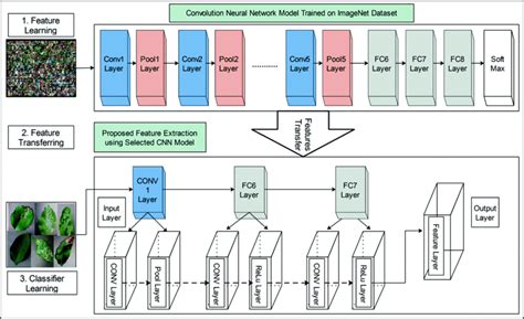 Integration Of Cnns Basic Architecture And Proposed Framework Download Scientific Diagram