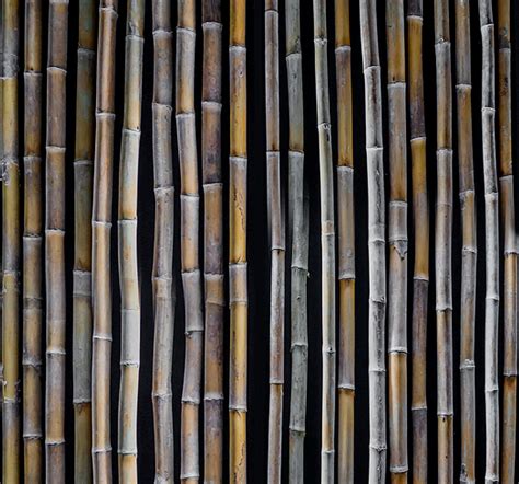 벽지 텍스처 자연 대나무 막대 패턴