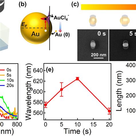 Oligomer Capped Anisotropic Growth Of Au Nrs Schemes Of Experimental