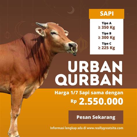 Gratis Desain Contoh Sapi Canva