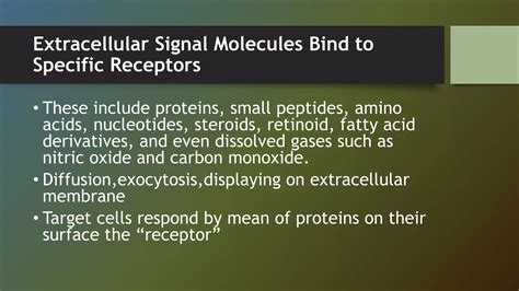 Cell Signalling Pathway Intra And Extra Cellular Signalling Pptx
