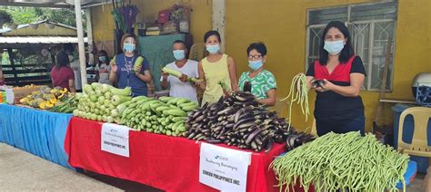 Our News Fpip Website