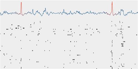 Mrc Brain Network Dynamics Unit On Linkedin New Unit Paper By Mchugh Et Al From Dupret Group