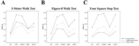 Dual Task Interference In Young Middle Age And Older Adults During Different Functional