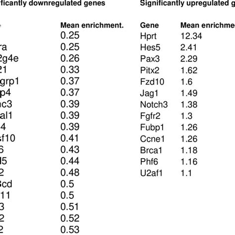Effects Of Cadherin Switching On β Catenin And Wnt Signalling Legend On