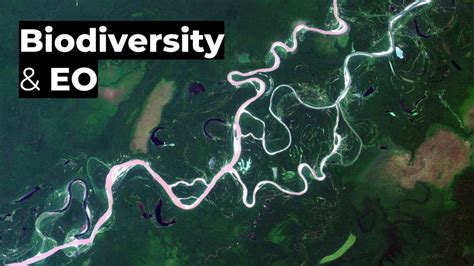 Quarticle On Linkedin Geoinformation Geointelligence Geospatial Geospatialtechnology