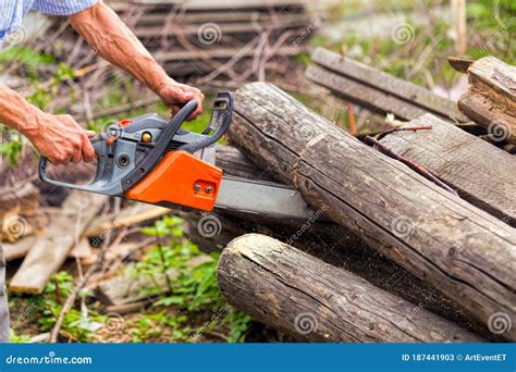 Man With Chainsaw Cutting Tree Stock Image Image Of Tree Power