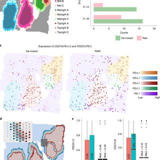 Inference Of Cell To Cell Communication Is More Accurate With Download Scientific Diagram