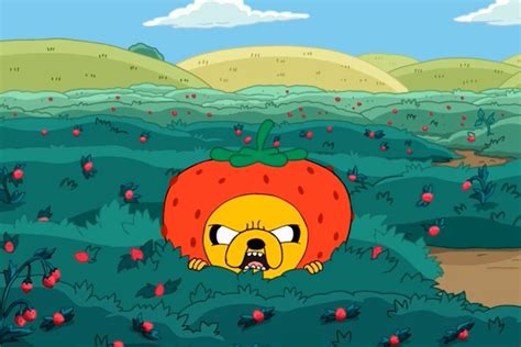 9trac • Jakes Been To Strawberry Fields