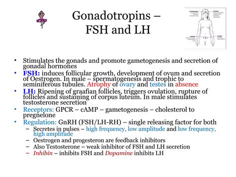 Anterior Pituitary Hormones Drdhriti Ppt