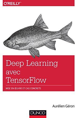 Deep Learning Avec Tensorflow Hors Collection By Aurélien Géron