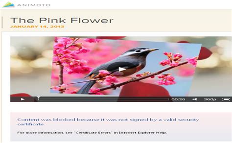 B Walker Eevpa 21 Things 4 Students