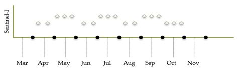 Remote Sensing Free Full Text Evaluation Of The Performance Of Time Series Sentinel 1 Data