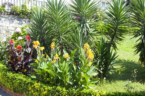 植物高清图片下载 正版图片507008742 摄图网