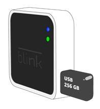 How To Reset The Blink Sync Module