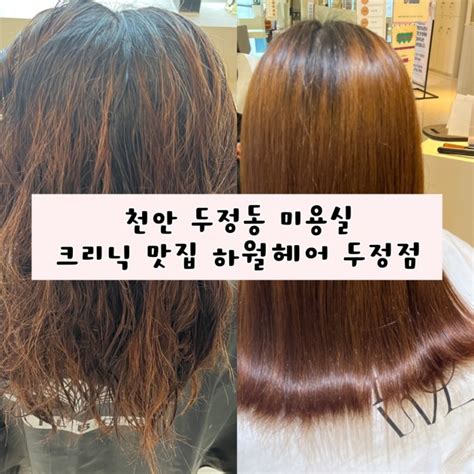 천안 두정동 미용실 크리닉 맛집 하월헤어 두정역점 네이버 블로그