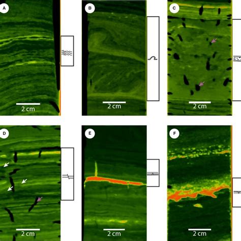Characteristic Examples Of The Six Soft Sediment Deformation Structure