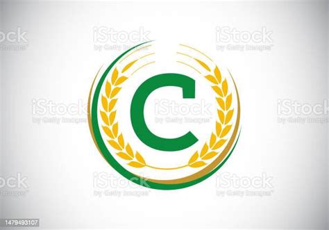 밀 귀 화환이 있는 첫 글자 C 기호 기호 유기농 밀 로고 디자인 개념 농업 로고 디자인 벡터 템플릿입니다 개념에 대한 스톡 벡터 아트 및 기타 이미지 Istock