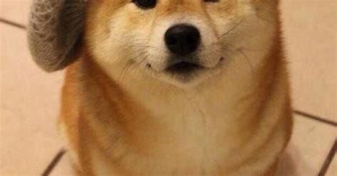 Much Stylish Imgur