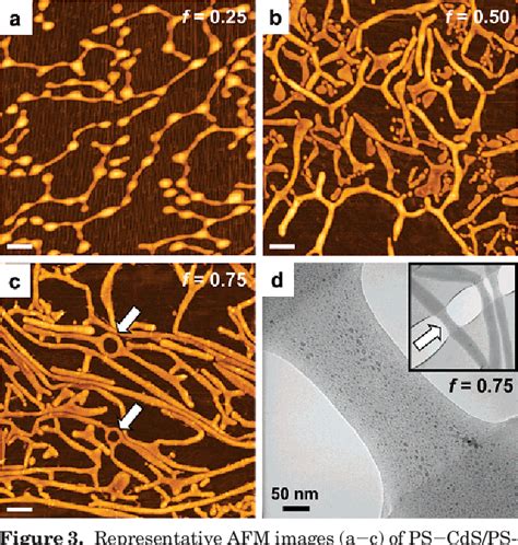 Figure 3 From Hierarchical Nanoparticleblock Copolymer Surface