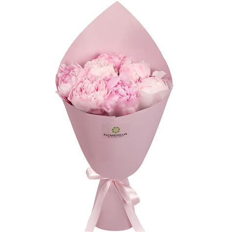 Нежный букет 7 пионов — заказать букет с доставкой в Киев Одессу Львов Харьков Днепр и по