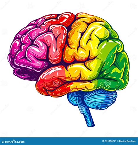 Colorful Brain Illustration Isolated On White Background Stock Image Illustration Of Human