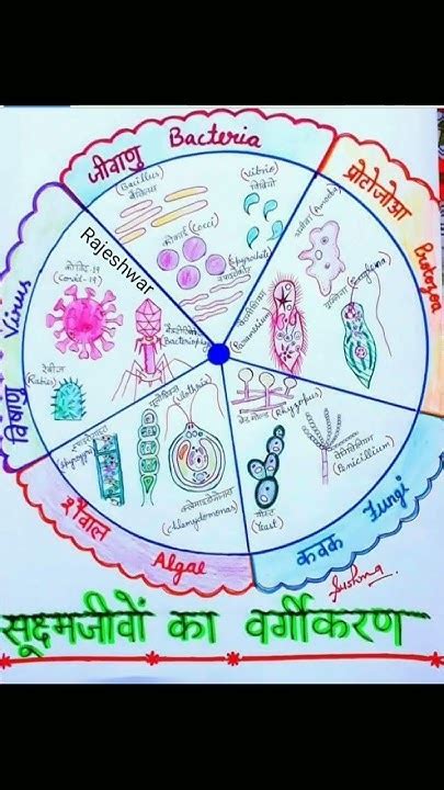 Classification Of Microoganismcurrentaffairs Upboardexam2024 Youtube