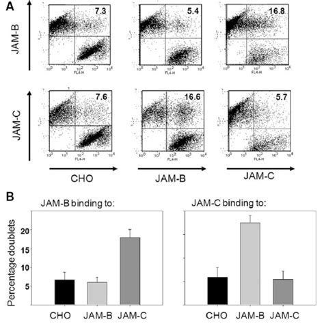 Gateway Based Cloning And Expression System A An Entry Clone Download Scientific Diagram