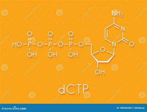 Deoxycytidine Monophosphate Dcmp Nucleotide Molecule Dna Building Block Skeletal Formula
