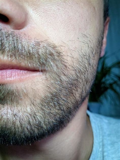 Bearded Young Man Stubble Near Unshaven More Than A Week Stock Image