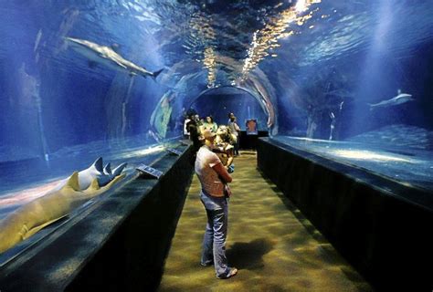 16 Things To Do Or Explore In Oklahoma For Spring Break Lifestyles