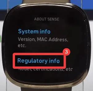 How Do I Know What Fitbit Model I Have EASY WAYS