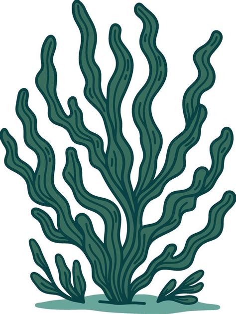Seaweed Graphic Illustration 44796657 Vector Art At Vecteezy