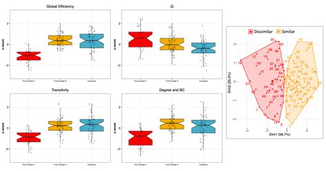 K Means Clustering On Dti Matrices With The Use Of Graph Theory Metrics