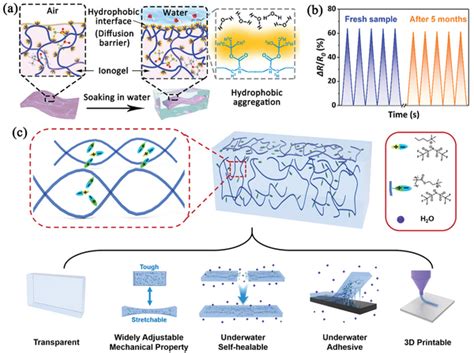 Hydrophobic Ionogels By In Situ Polymerization Of Hydrophobic Monomer Download Scientific