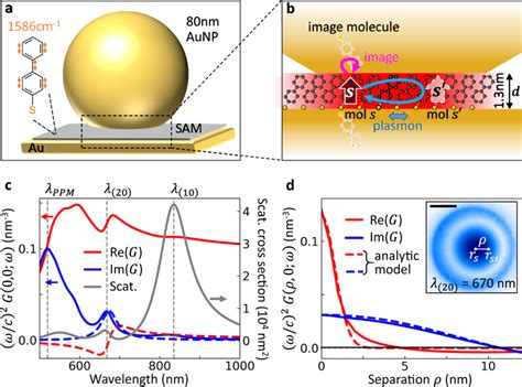 Theory Of Nonlinear Vibrational Coupling In Plasmonic Nanocavities A Download Scientific