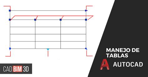 Manejo De Tablas En AutoCAD CadBIM D