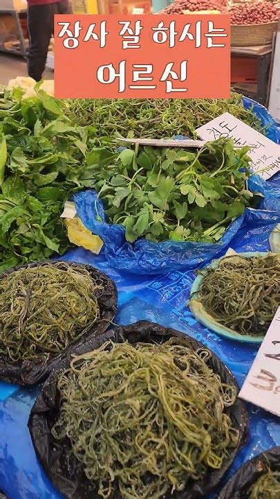 경동시장 어르신 노점상 장사 잘 하셔유 시장 시장투어 어르신 Youtube