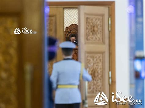 ВИДЕО Гэрийн тэжээвэр амьтны хууль зөрчиж хүнд хохирол учруулсан бичил чип суулгаагүй амьтадын