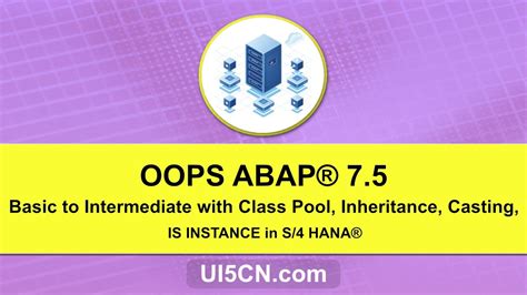 Oops Abap® 75 Basic To Intermediate With Class Pool Inheritance Casting Is Instance In S4