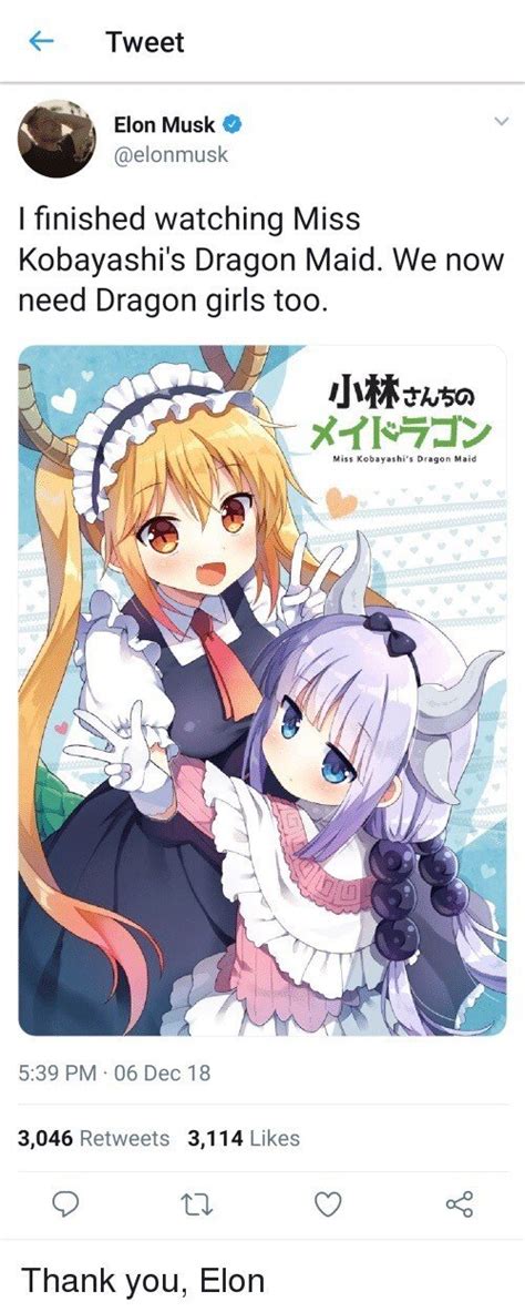 세계 부자 1위 일론 머스크의 취미 포텐 터짐 최신순 에펨코리아