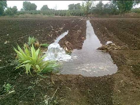 Methods Of Irrigation A Complete Guide