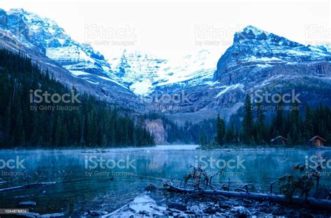 레이크 오하라는 아침에 안개가 Yoho 국립 공원 캐나다 록 키 산맥 브리티시 컬럼비아 캐나다에서 속 인 다 0명에 대한 스톡 사진 및 기타 이미지 Istock