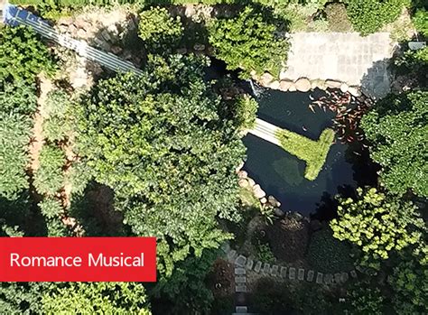 Premium Strings Of Choice ALICE STRINGS