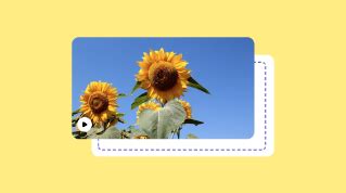 Getting Started With Video Editing In Adobe Express