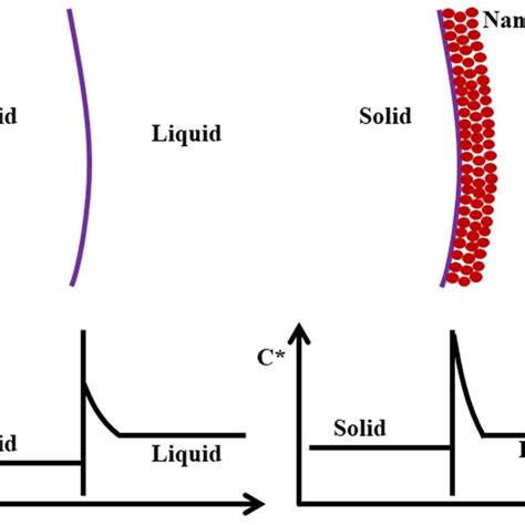 Schematic Diagram Of Effect Of Np On Solute Diffusion Download