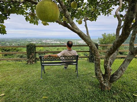 倡議家 選核三還是綠能？ 823重啟核三公投， 在生態環保團體出現不同聲音。 Udn00pseis7zq3fd