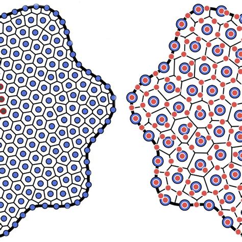 A Discontinuous Function Drawn Over A Star Shaped Domain Left A