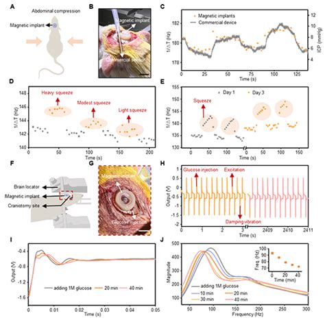 北京大学韩梦迪 Sci Adv ：小型化的无线植入式传感系统 中国聚合物网科教新闻