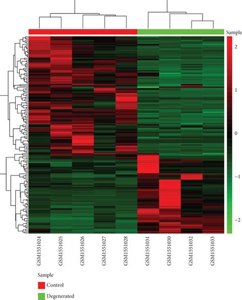 Identification Of Differentially Expressed CircRNAs LncRNAs MRNAs